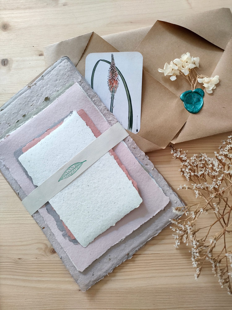 Handmade Paper Care Box - Paper Care Lab